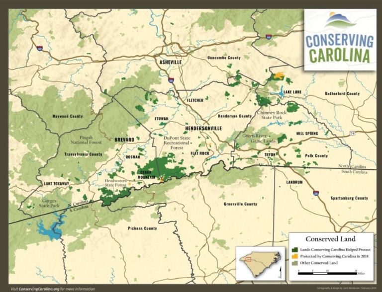Conserving Carolina Has Protected Over 45,000 Acres – D.D. Bullwinkel